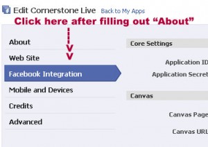 How To Create IFrame Tabs For Facebook Fan Pages | SMSEO
