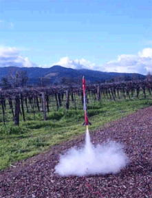 Husband Accidentally Kills Wife With Homemade Rocket | SMSEO