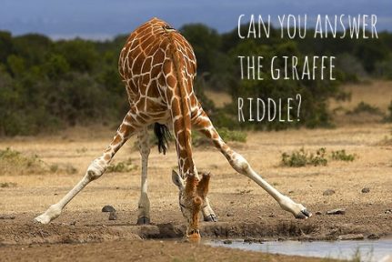 Facebook Giraffe Riddle - Why Your Friends Are Now Giraffes | SMSEO