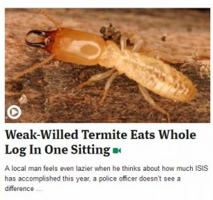 Facebook Testing "satire" Tags To Avoid Confusion From Sites Like The ...